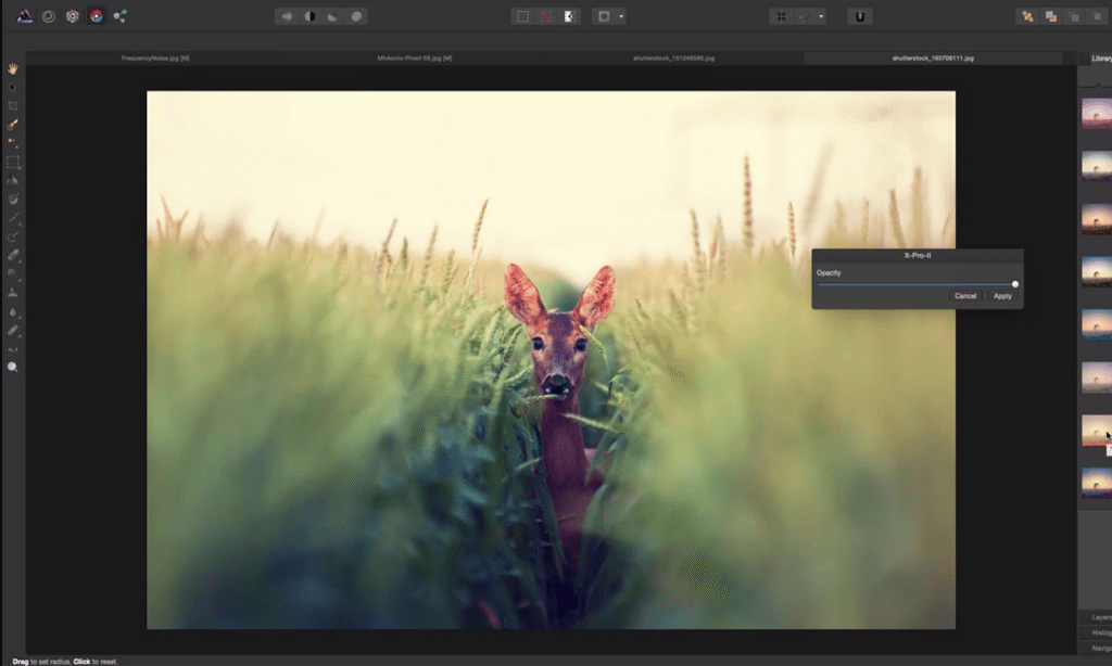 8 лучших фоторедакторов для Mac, Windows и iOS
