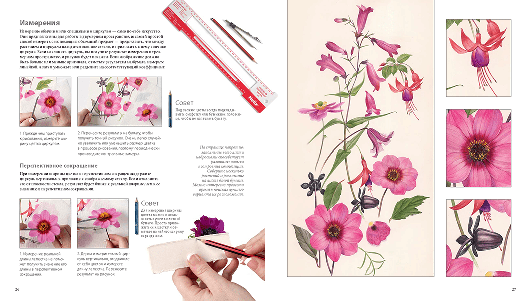 Billy Showell “Botanical Portraits” - webdevsupply