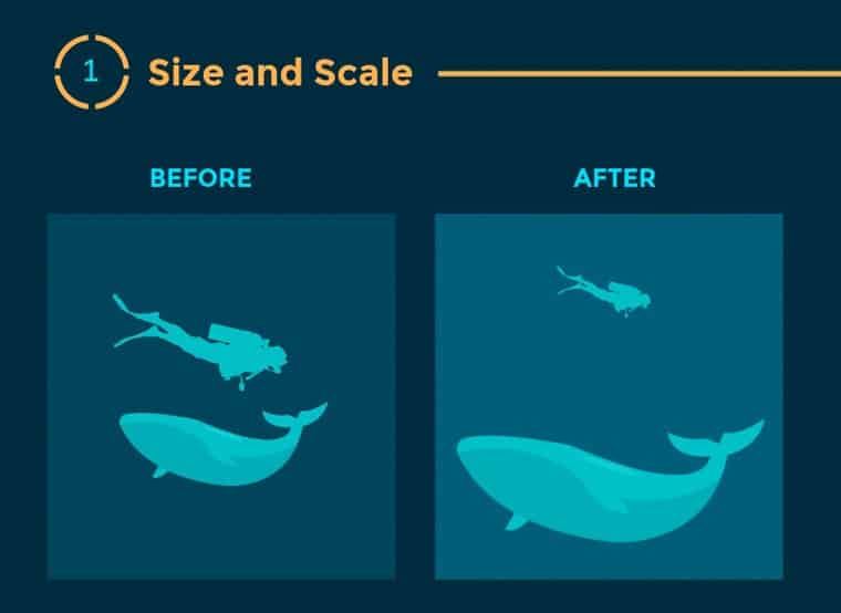 12 principles of visual hierarchy - webdevsupply